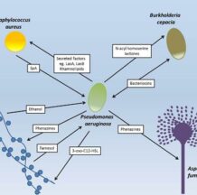 Microbial communication - FEMS