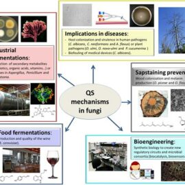 Microbial communication - FEMS