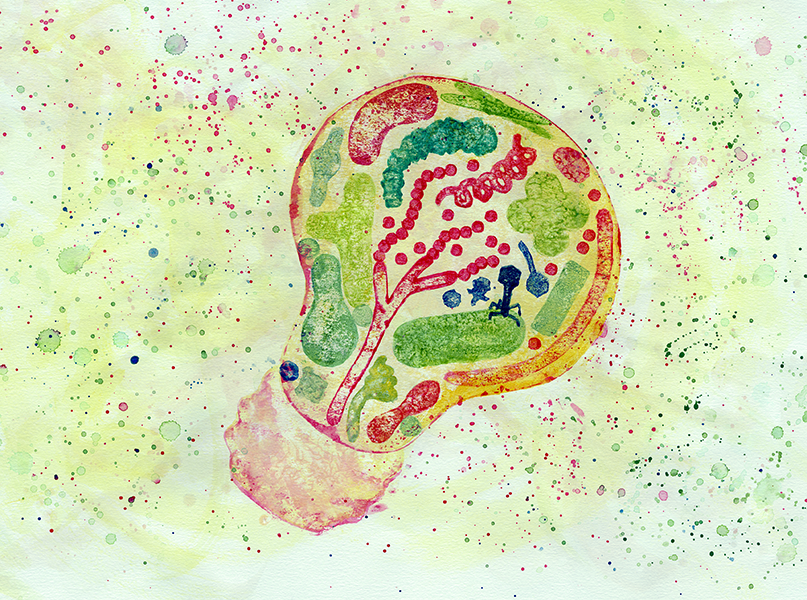 Microbes New Pilot Study On Transmission Of Microbes From Hospital