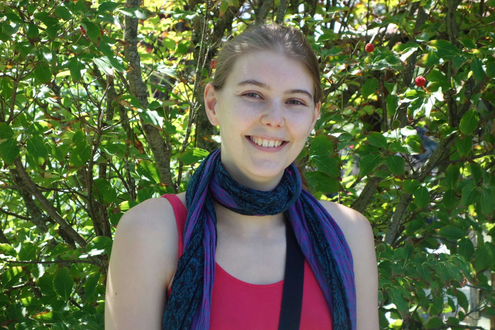 #FEMSmicroBlog: Image analysis of bacterial cells and communities - FEMS
