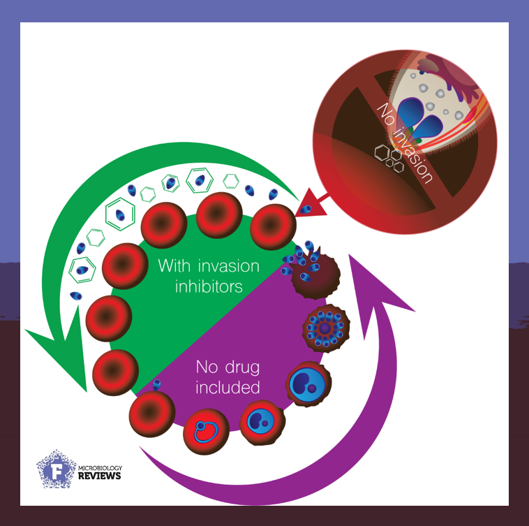 World Malaria Day 2021: Identifying next-generation antimalarial drugs