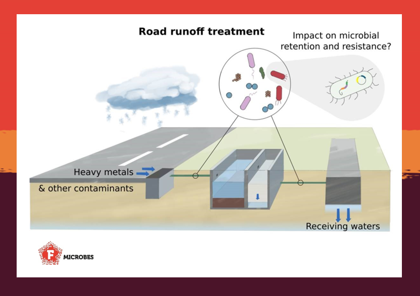 #FEMSmicroBlog: Which microbes live on our streets? - FEMS