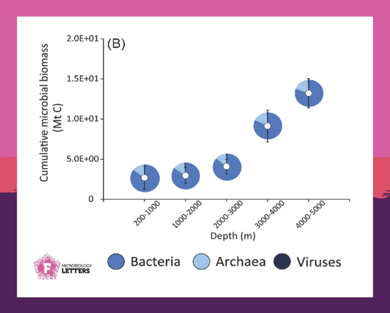 Microbes impact the global climate and climate change impacts microbes