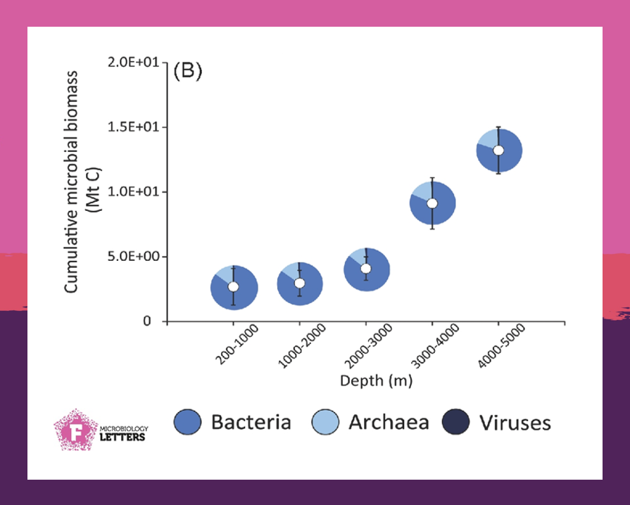 Microbes impact the global climate and climate change impacts microbes