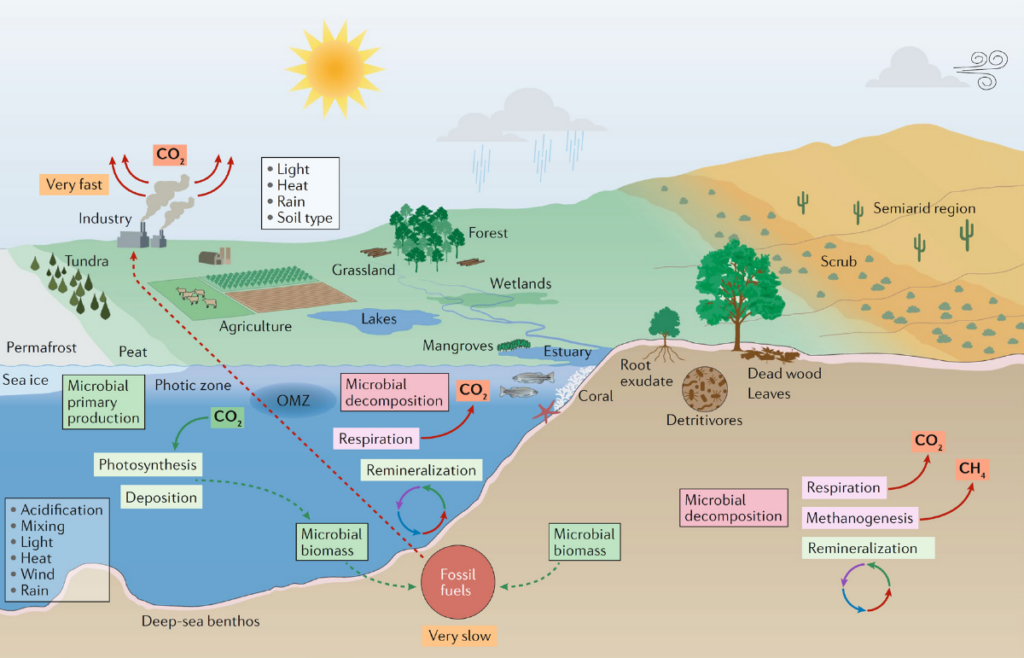 Microbes impact the global climate and climate change impacts microbes