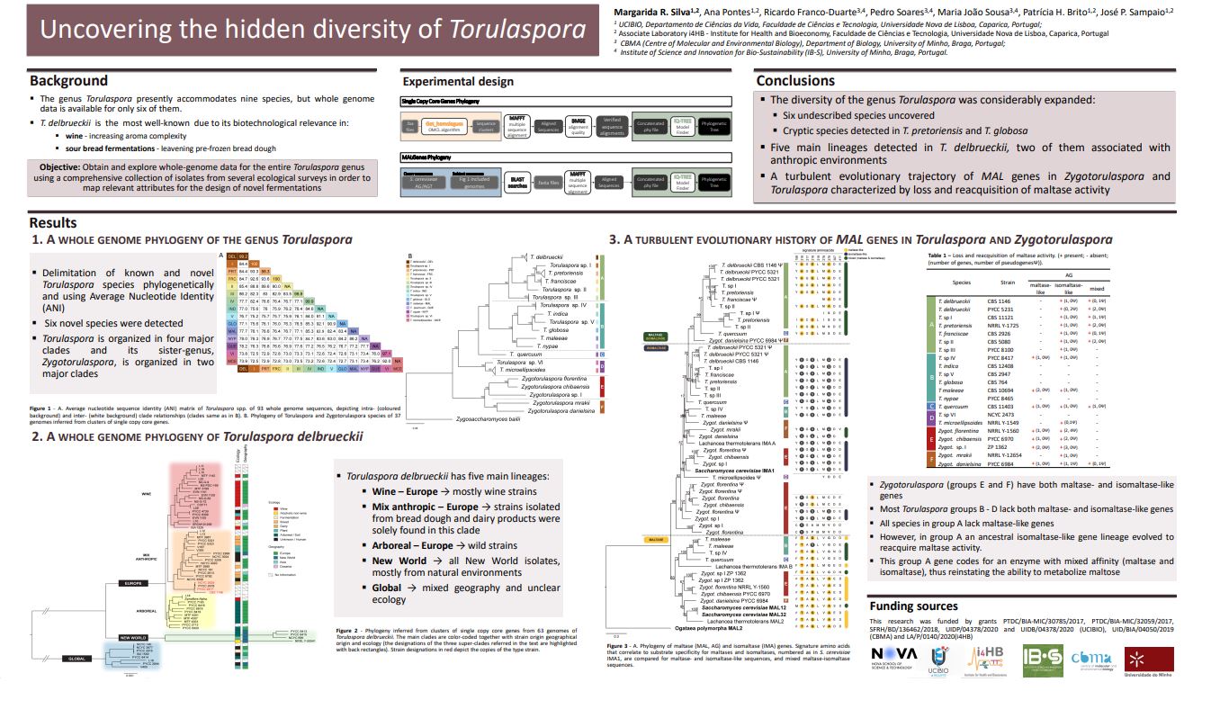 FEMS Yeast Research Poster Prize Winner: Margarida Ribeiro Da Silva - FEMS