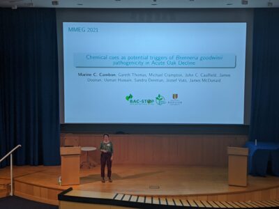 FEMS Microbiology Letters Flash Presentation Award: Marine Cambon - FEMS
