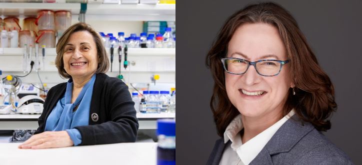 Prof. Isabel Sá-Correia and Dr Elisabeth Bik recognized with a Special ...