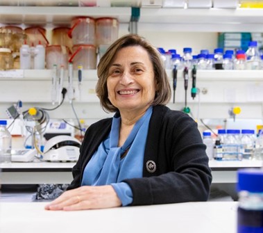 Prof. Isabel Sá-Correia and Dr Elisabeth Bik recognized with a Special ...