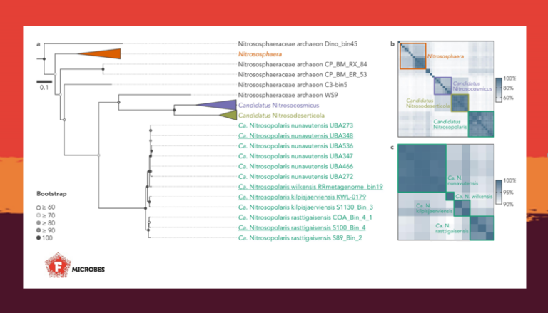 #FEMSmicroBlog: Finding new polar microbes - FEMS