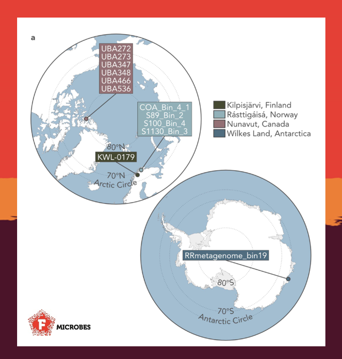 #FEMSmicroBlog: Finding new polar microbes - FEMS