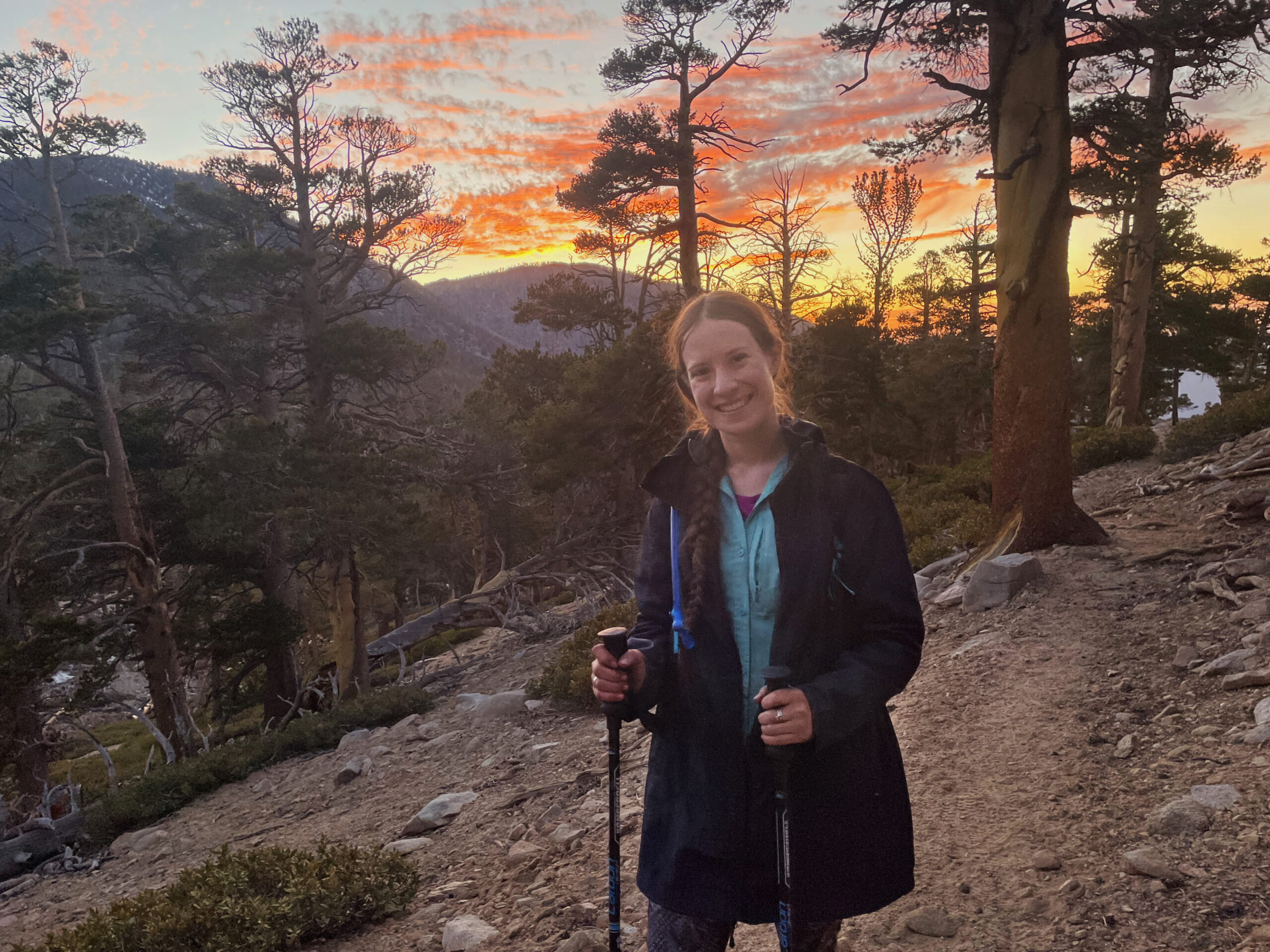 Short story: Not I, But We - FEMS