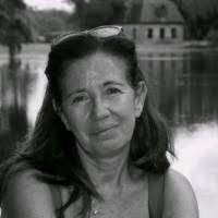 FEMS Microbiology Ecology Webinar On Microbial Ecology In A Changing ...