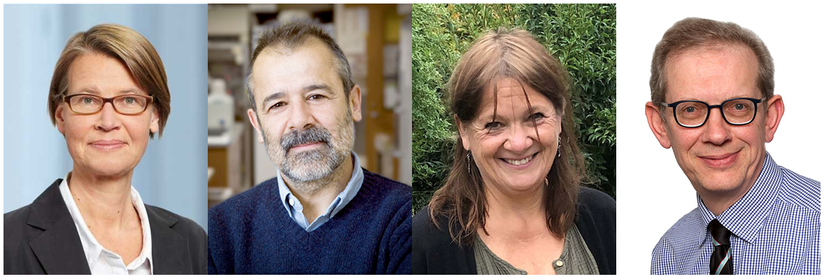 Come to FEMS2023 and meet these plenary speakers! - FEMS