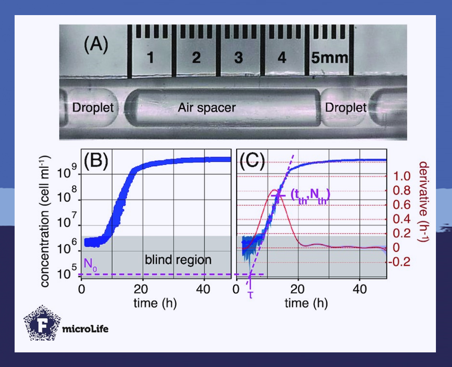 #FEMSmicroBlog: A leader bacterium starting a new growth phase - FEMS