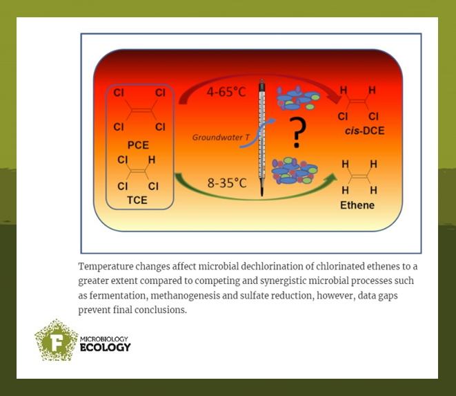 Out Now: Anaerobic Biological Dehalogenation - FEMS