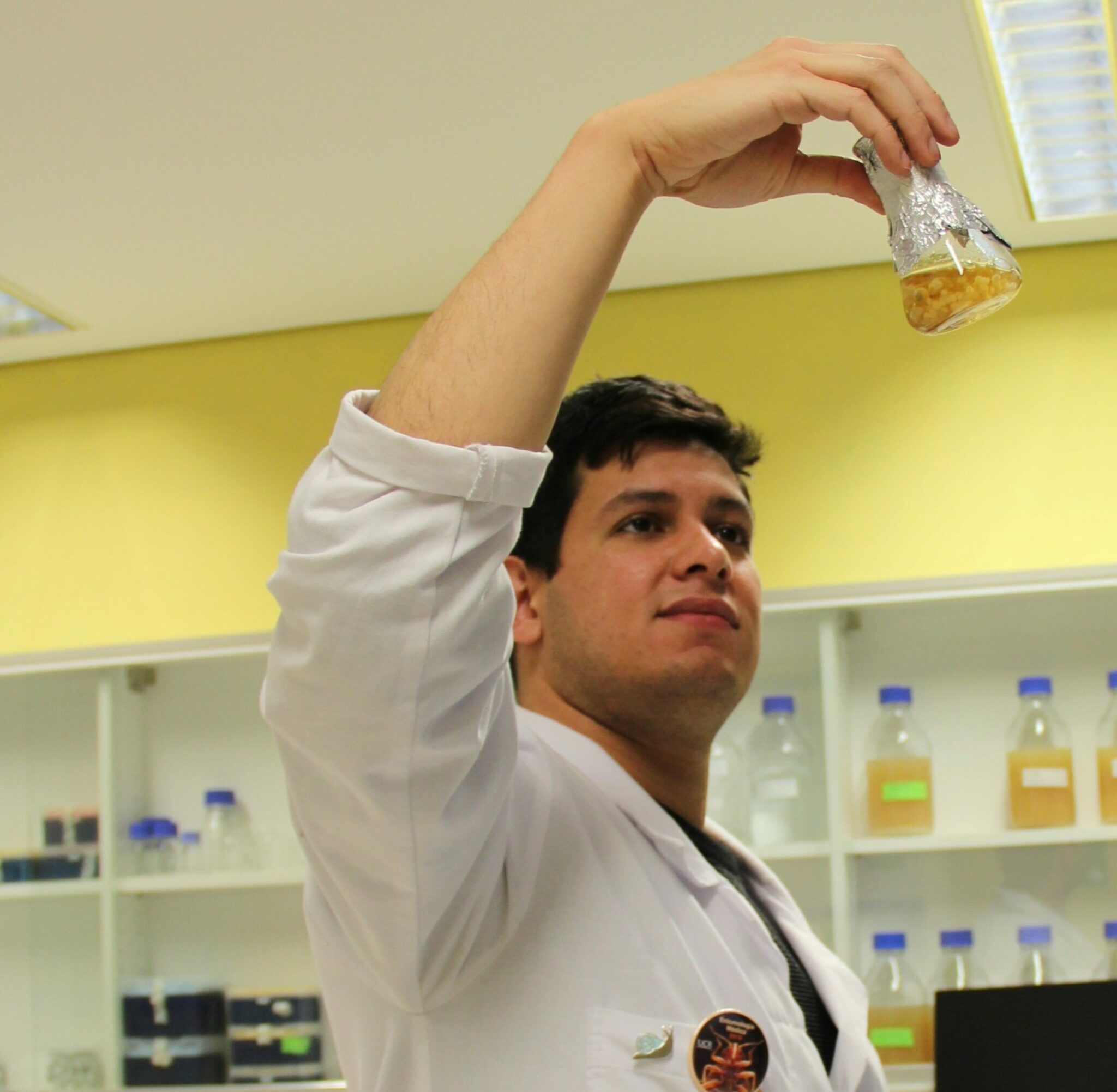 Microbiology In Art - FEMS