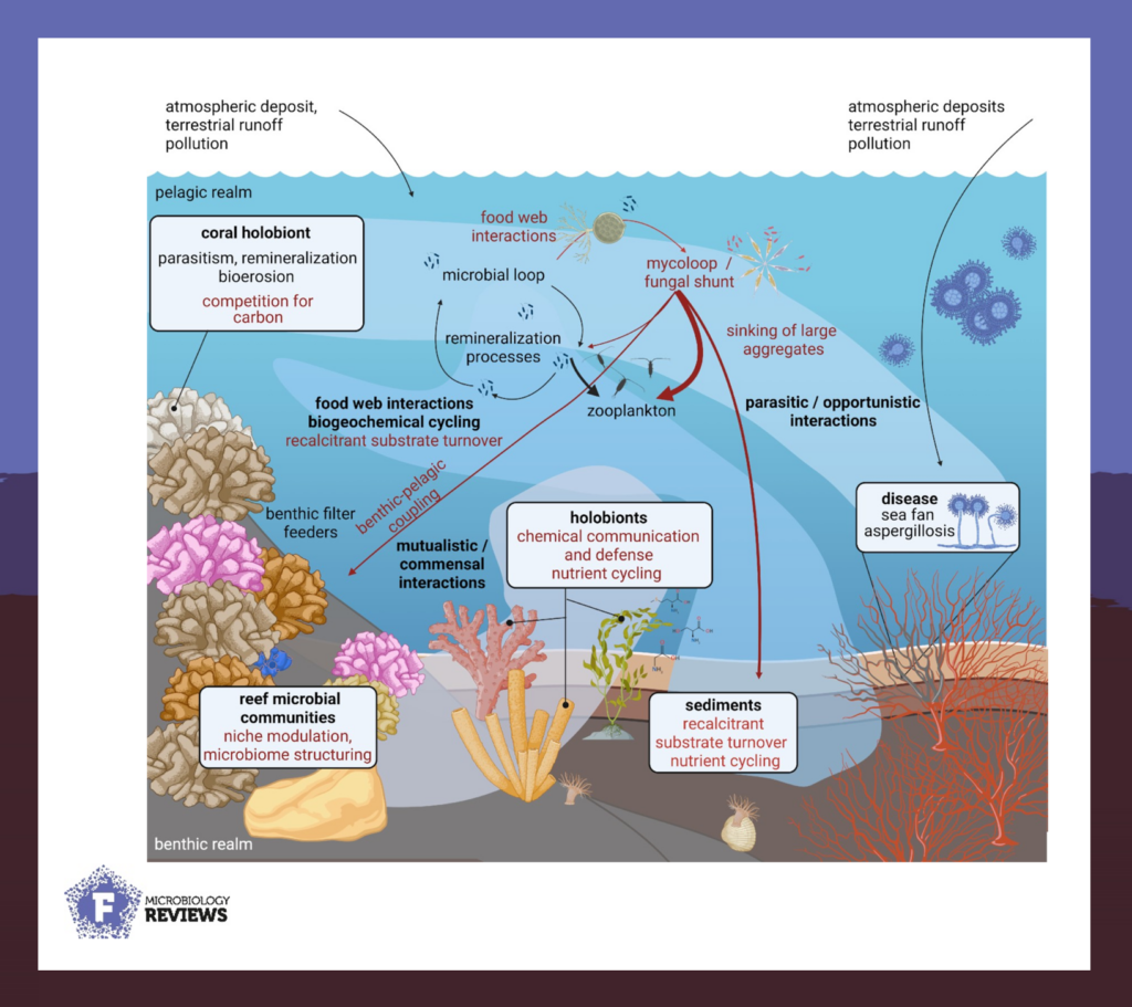 Meet the Winners of the 2022 Best Article Award From FEMS Microbiology ...