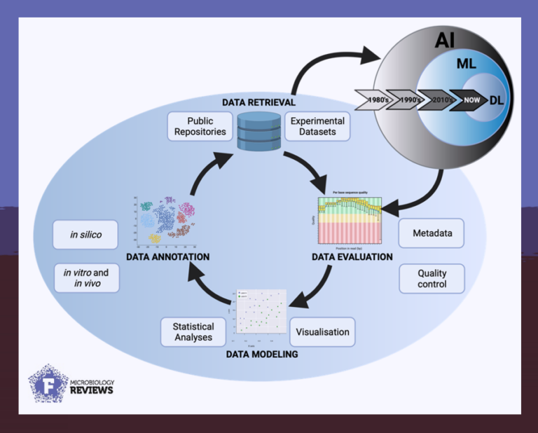 #FEMSmicroBlog: AI for functional protein annotation - FEMS