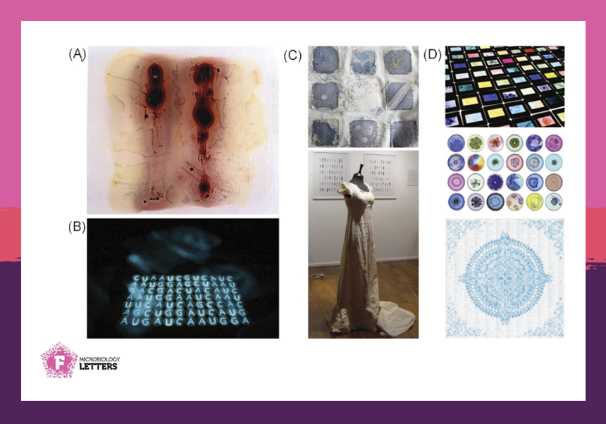 #FEMSmicroBlog: Bacterial art to bridge microbes and society - FEMS