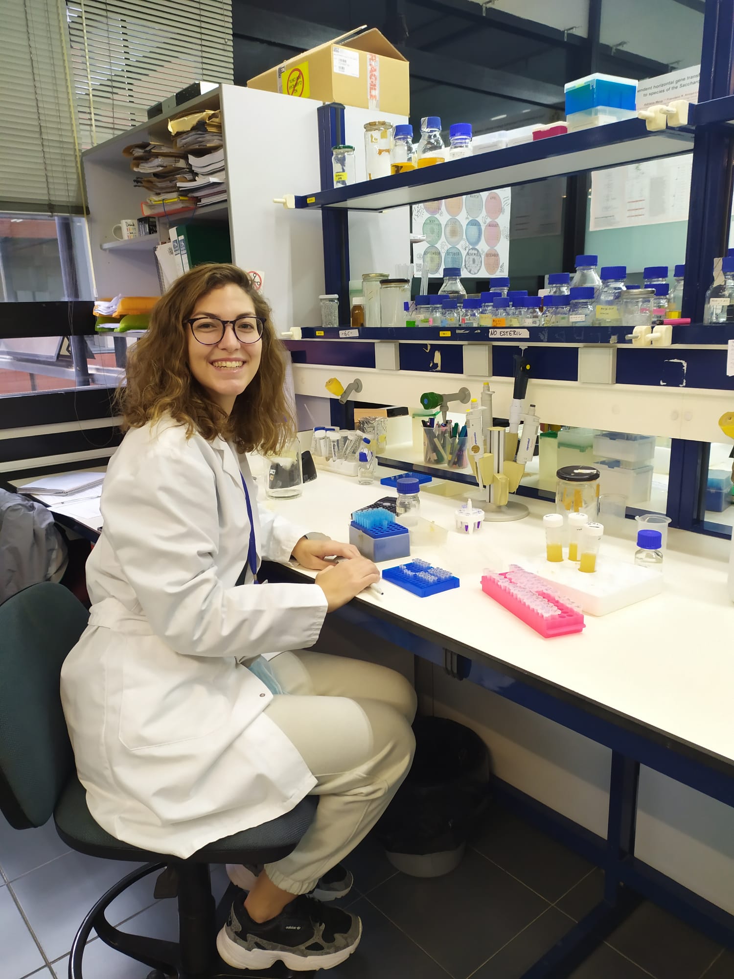 FEMS Yeast Research Poster Prize: Sonia Albillos-Arenal - FEMS