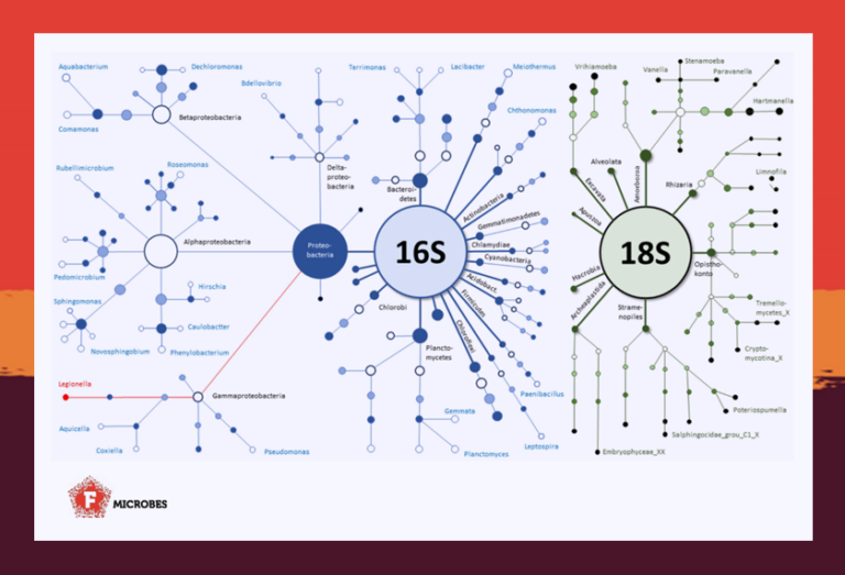 Finding Legionella in shower hoses and plumbing systems - FEMS