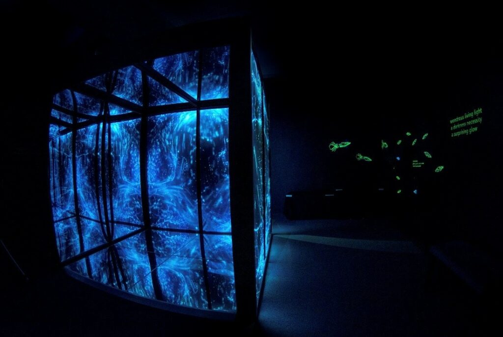 #FEMSmicroBlog: Microbial bioluminescence in contemporary art - FEMS