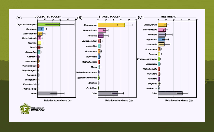 #FEMSmicroBlog: Microbial allies in honey bee hives - FEMS