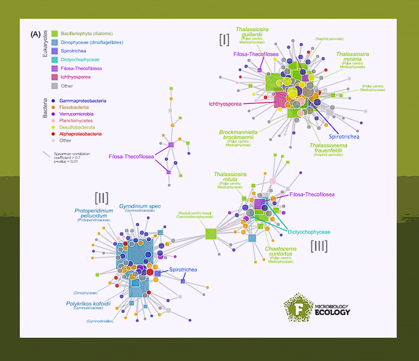#FEMSmicroBlog: Uncovering microalgae in a spring bloom
