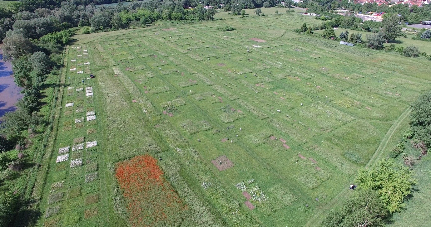 Droughts change interactions between plants and microbes - FEMS