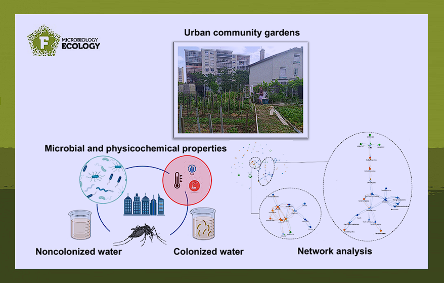 How urban pollution impacts mosquito microbial communities