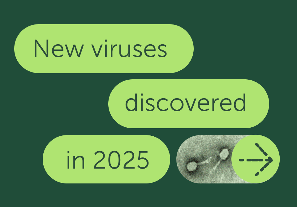 #FEMSmicroBlog: New viruses discovered in 2025 - FEMS